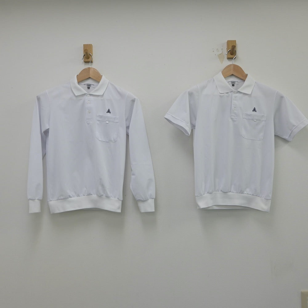【中古制服】大阪府 山直中学校 女子制服 2点（シャツ）sf015039【リサイクル学生服】 中古制服通販パレイド